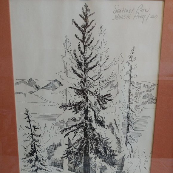 Pan Eimon | Art | Pan Eimon Artist Proof Sentinel Pine | Poshmark